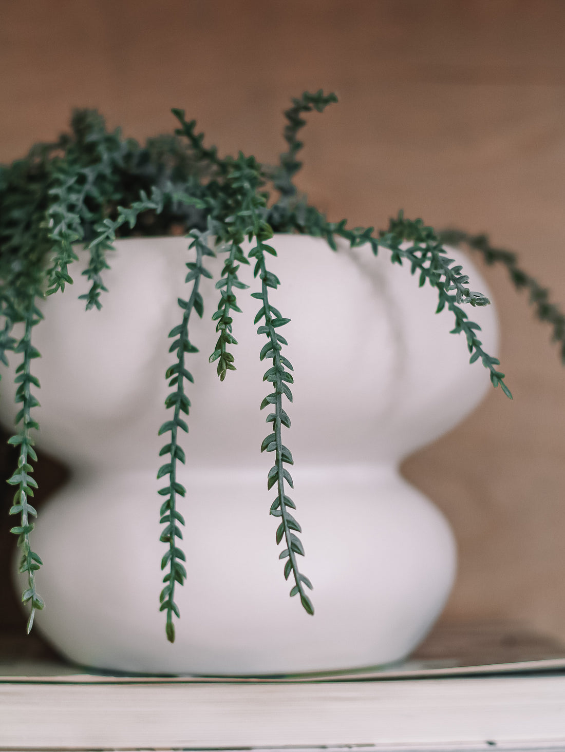 Decor – AddisonsWonderland